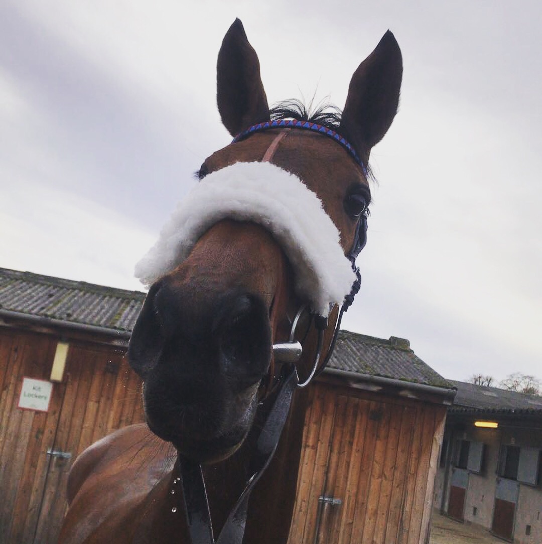 8ecec6c2-c29e-4912-8c09-7cdd9d60f1c5 – Warren Greatrex Racing