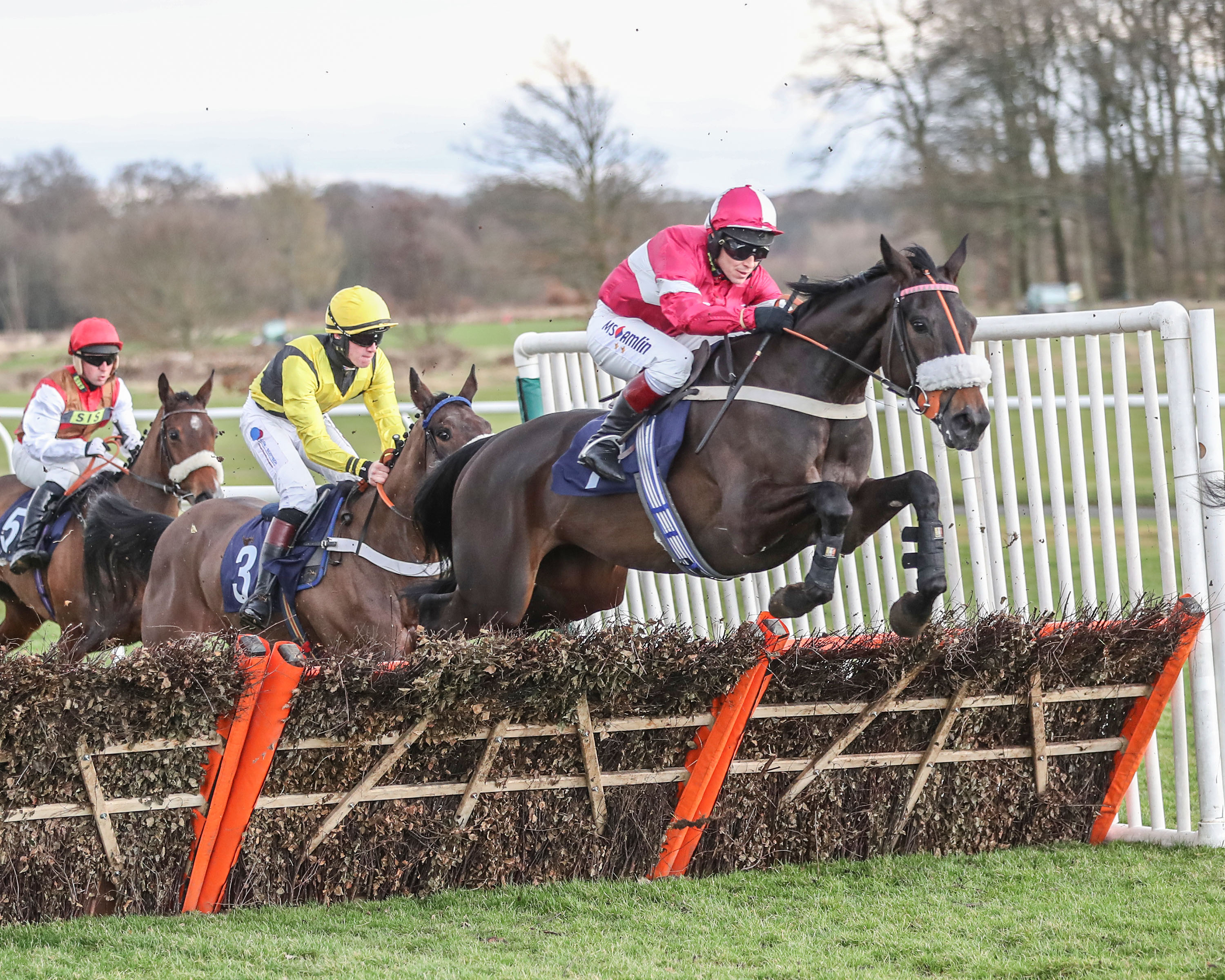 HORSE RACING – Warren Greatrex Racing