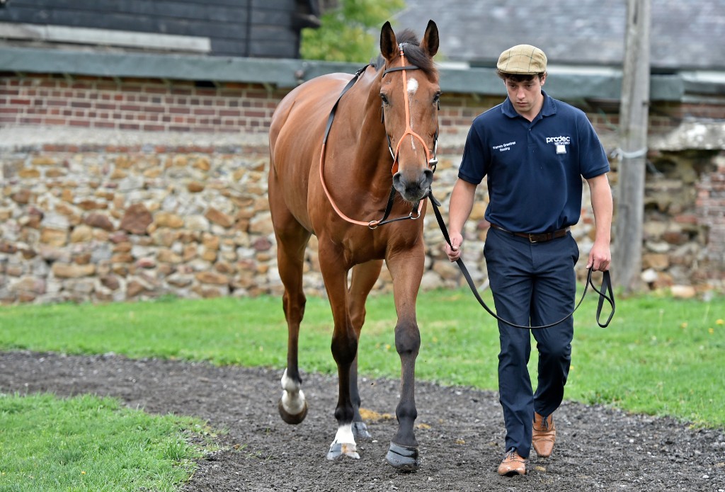 6dfe10ed-9e8b-45fa-95ec-629ab22f0002 – Warren Greatrex Racing