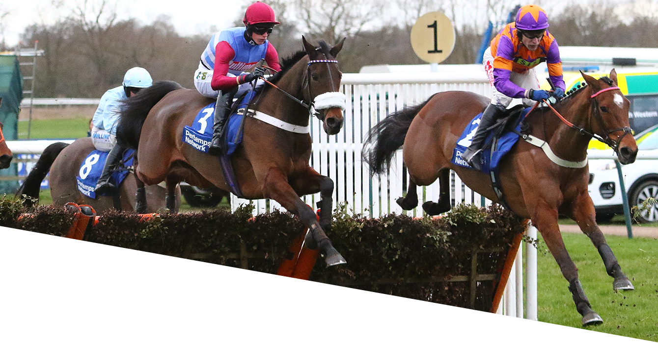 Warren Greatrex Racing – National Hunt Racehorse Trainer based in Lambourn