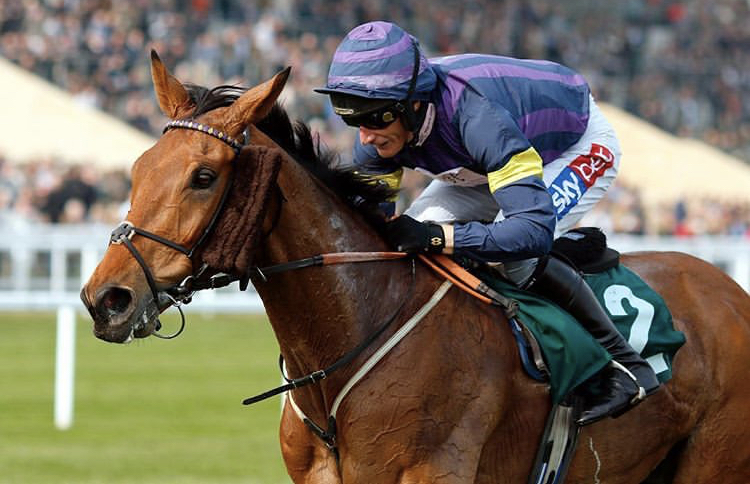 2d816162-5290-452e-a2e4-0319756e8221 – Warren Greatrex Racing