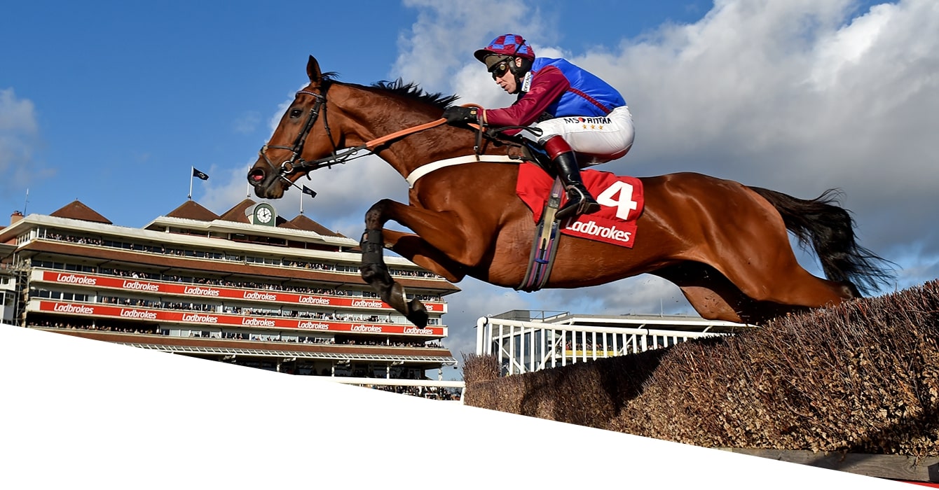 Warren Greatrex Racing – National Hunt Racehorse Trainer based in Lambourn
