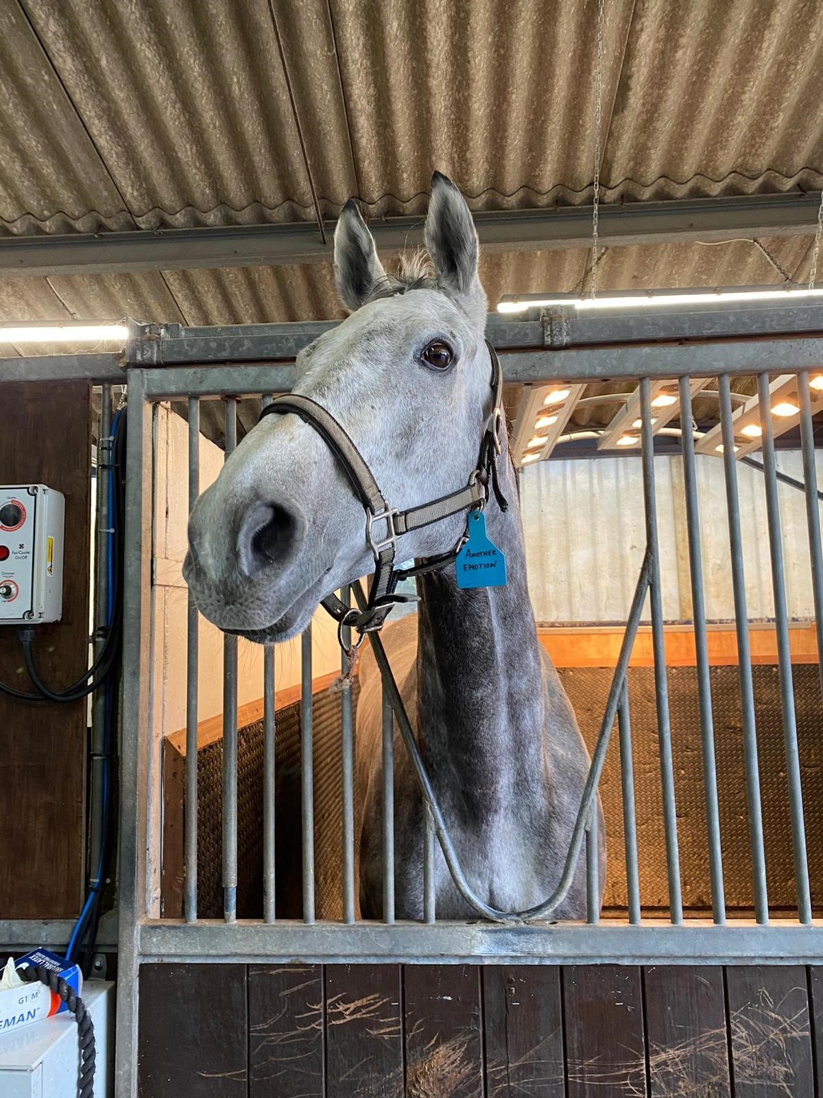 BACK IN ACTION! – Warren Greatrex Racing