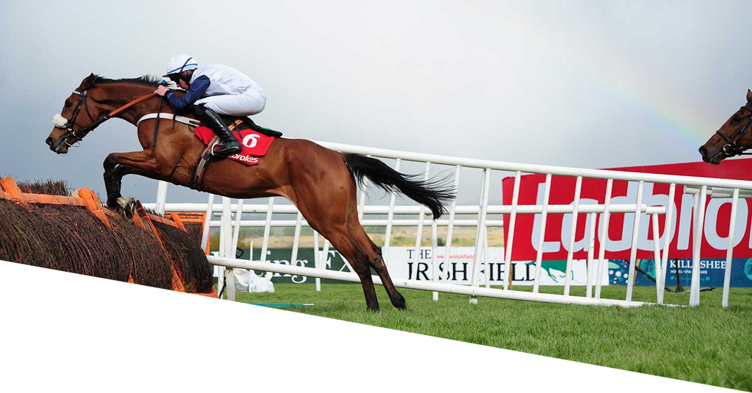 Warren Greatrex Racing – National Hunt Racehorse Trainer based in Lambourn