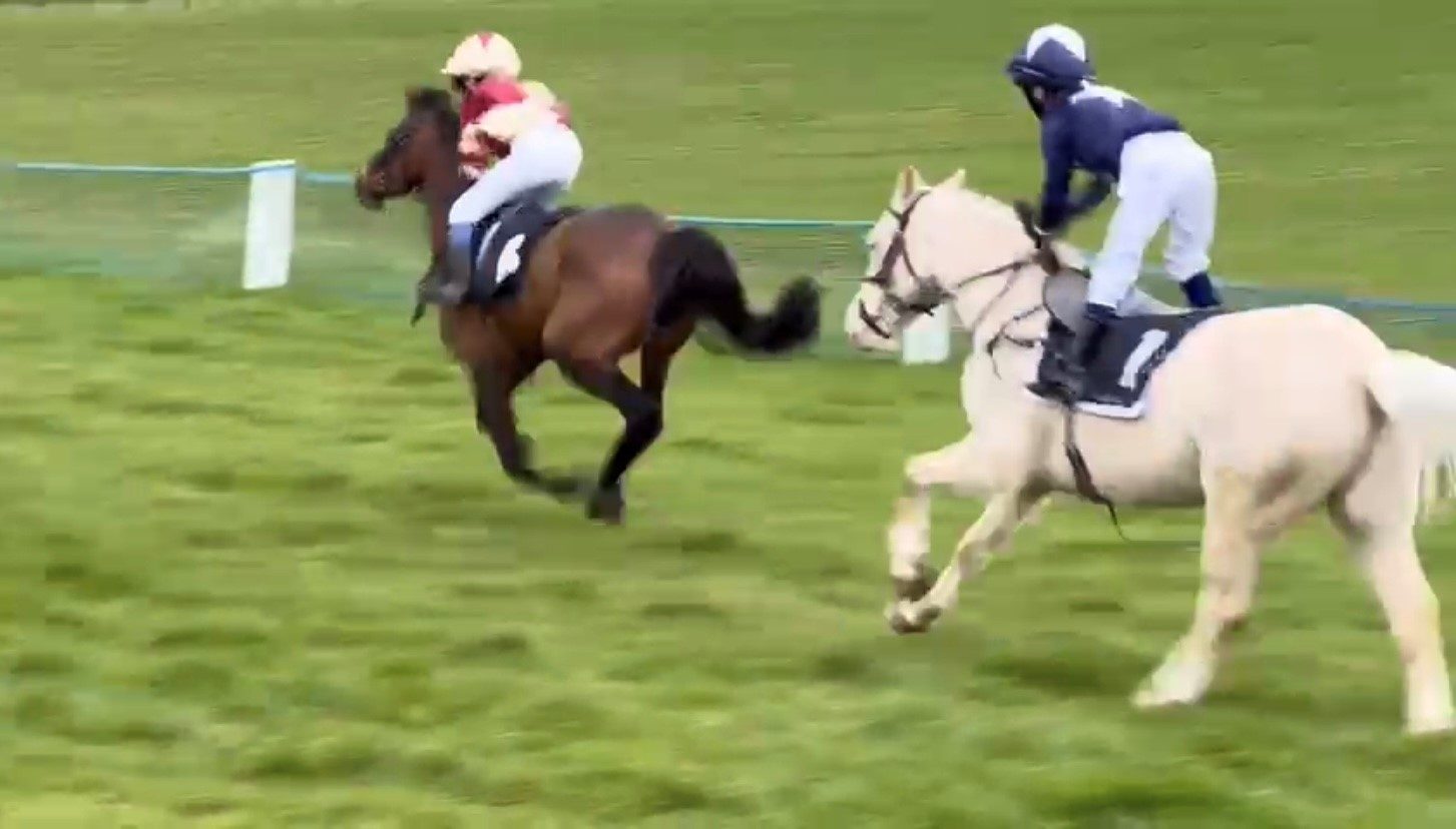 ART OF ILLUSION MAKES IT A HAT TRICK OVER FENCES & NELL RIDES HER FIRST ...