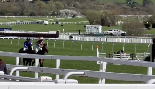 LAMBOURN OPEN DAY and NELL WINS AGAIN!!! – Warren Greatrex Racing