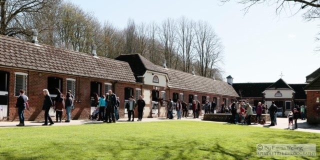 LAMBOURN OPEN DAY and NELL WINS AGAIN!!! – Warren Greatrex Racing