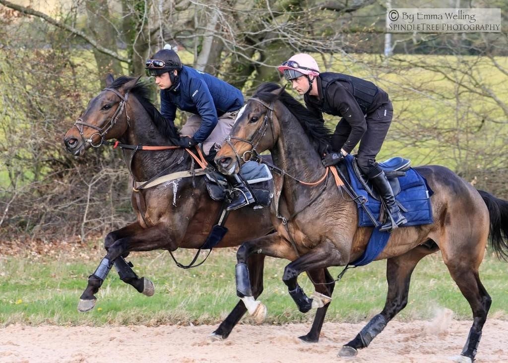 LAMBOURN OPEN DAY and NELL WINS AGAIN!!! – Warren Greatrex Racing