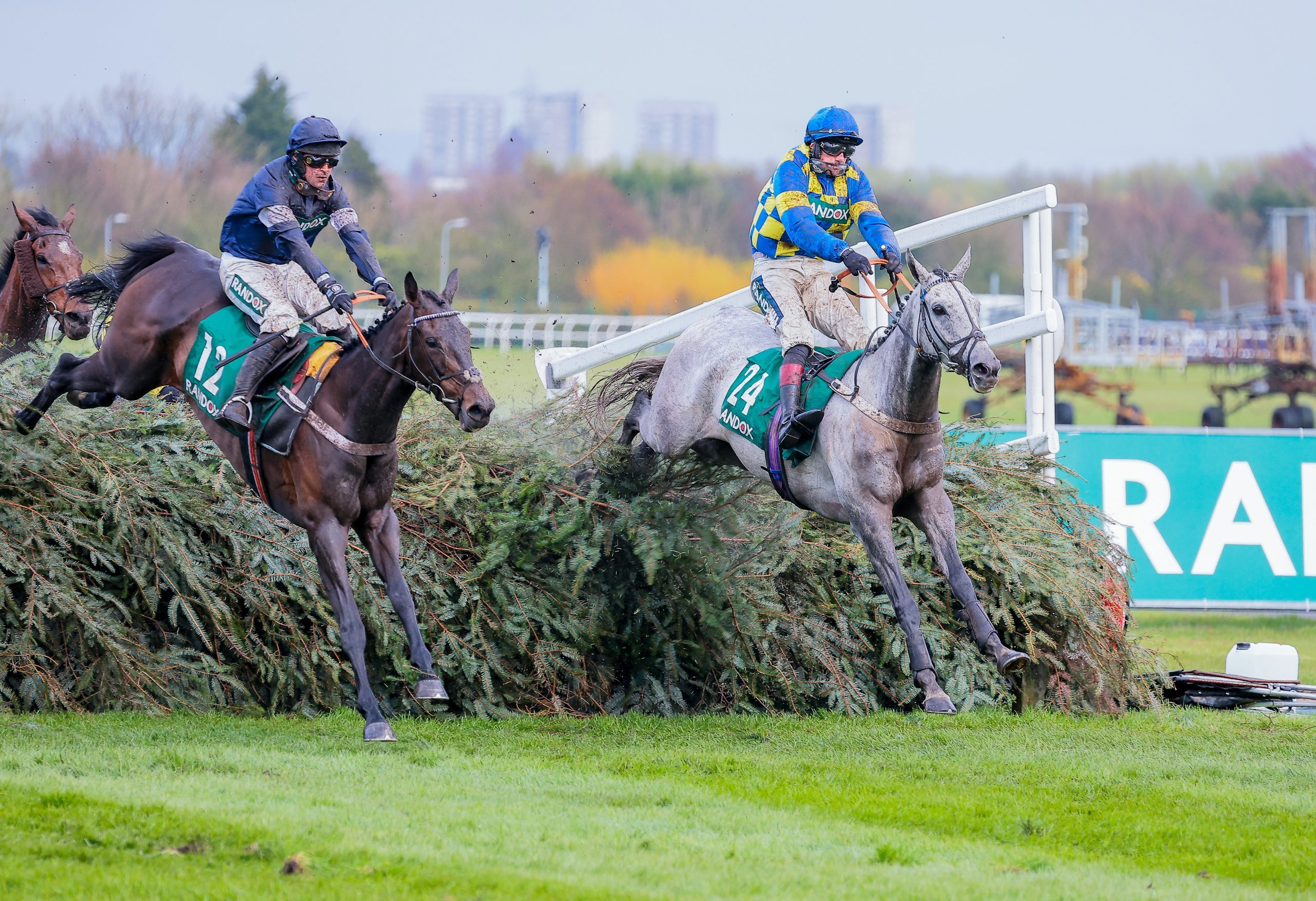 Warren Greatrex Racing – National Hunt Racehorse Trainer based in Lambourn