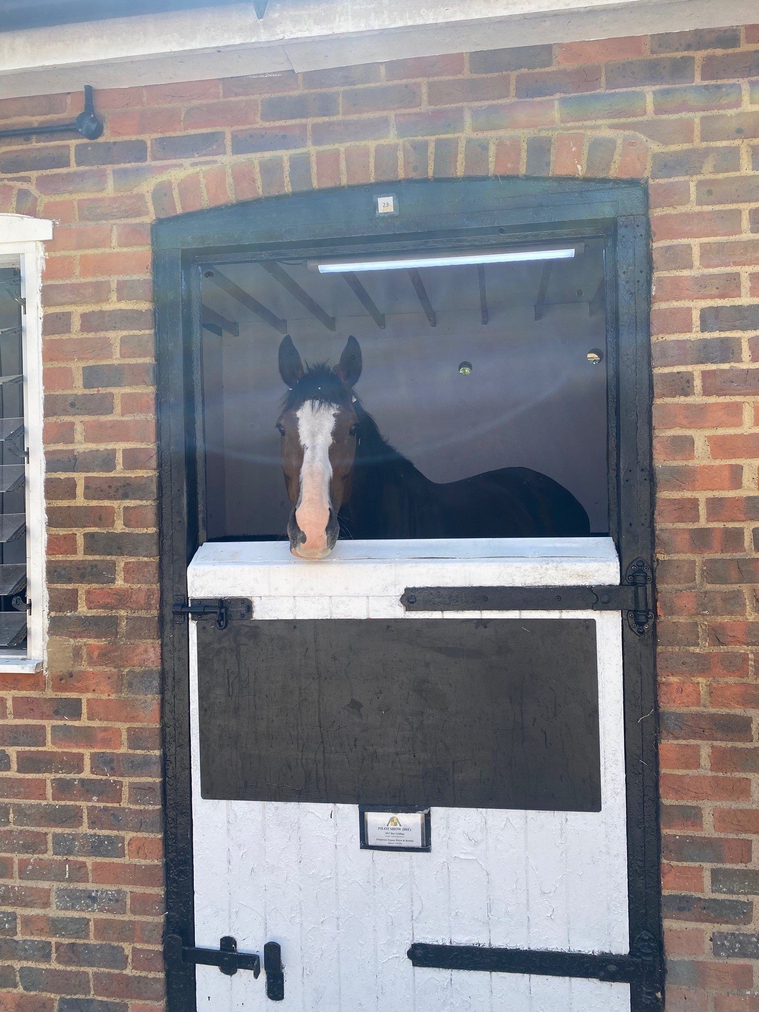 THE HORSES ARE COMING BACK IN! – Warren Greatrex Racing